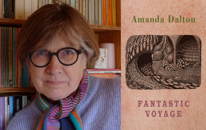 Amanda Dalton Readings